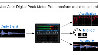Blue Cat DP Meter Pro – comandodelaudio.com